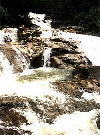 Lata Mengkuang at Sik